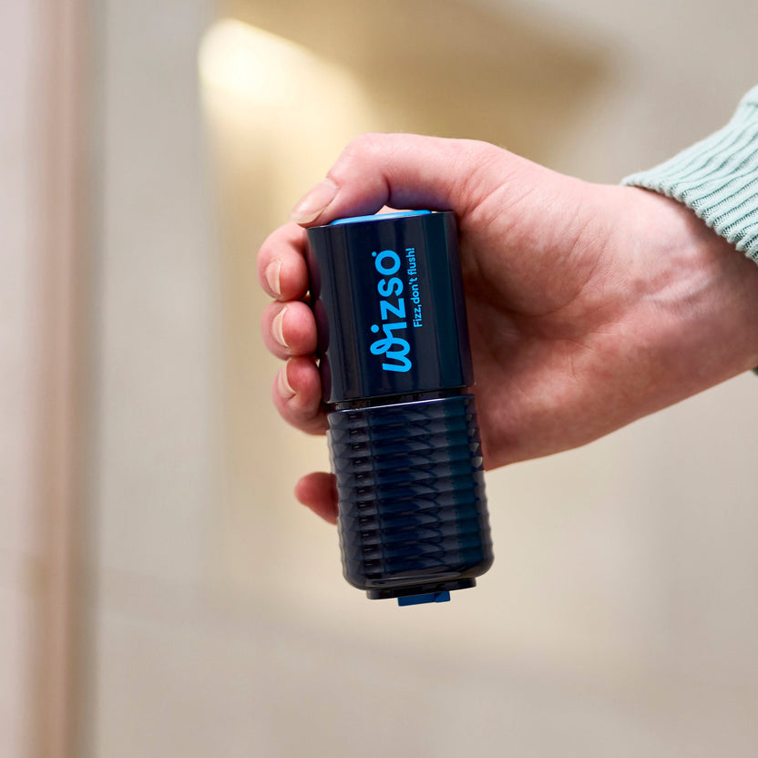 A Brief History of Toilets: From Ancient Flushes to Modern Bathrooms ...